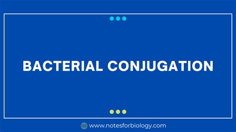 Bacterial Conjugation