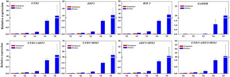 Frontiers Selection And Validation Of Appropriate Reference Genes For