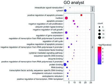 Significant Go Terms Of Upregulated Degs And Downregulated Degs