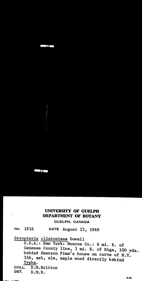 opencv object detection and segmentation using python