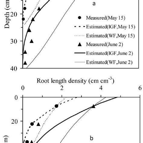 Experimental Data The Symbols Of The Normalized Root Length Density