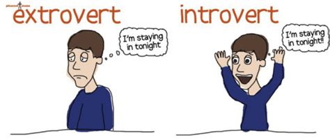 Jungs Theory Of Introvert And Extrovert Personalities