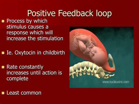 Ppt Pg 8 10 12 Powerpoint Presentation Free Download Id 5765926