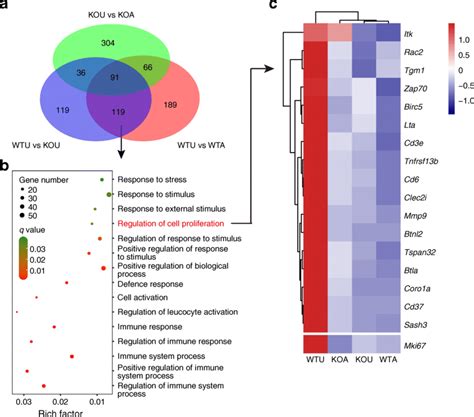 Analysis Of Rna Sequencing Data Of Primary Islets A Venn Diagram Of