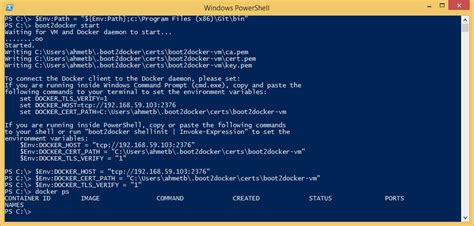 print environment variable in powershell