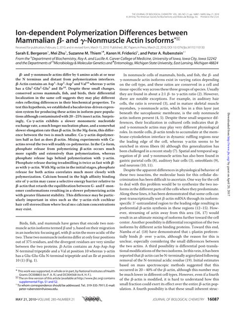 Pdf Ion Dependent Polymerization Differences Between Mammalian And