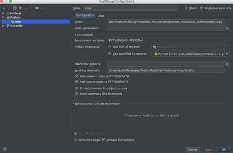 debug option not available does nothing using python