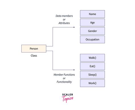 procedural programming and object oriented programming in c scaler