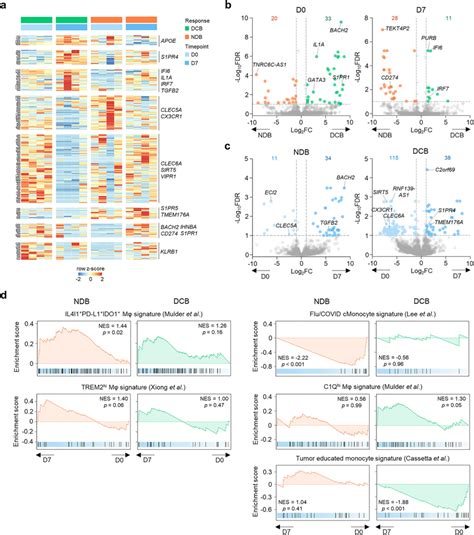 Transcriptomic Analysis Of Classical Monocytes From Patients With Dcb