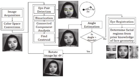 Preprocessing Flow For Face And Facial Component Extraction Download