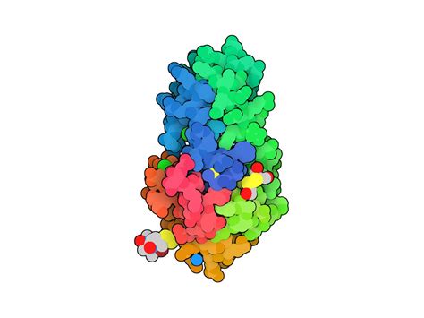 Molecular Blobs Molecularblobs Twitter