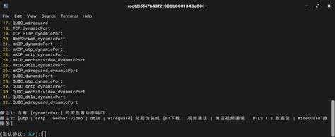 what is v2ray and how to install it