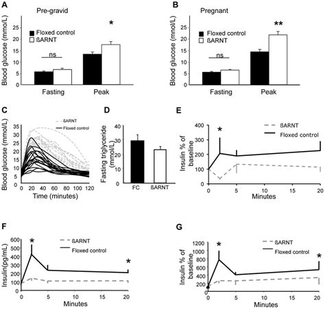 Glucose Metabolism In ß Arnt And Floxed Control Females A Pre Gravid