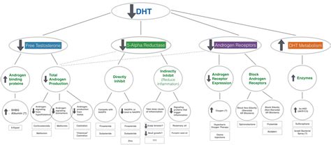 Dht And Facial Hair 30 Foods That Block Dht And Help Stop Hair Loss