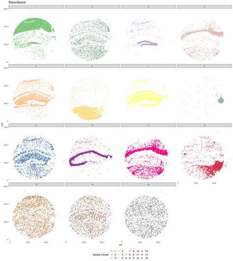 Vesalius High‐resolution In Silico Anatomization Of Spatial
