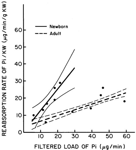 Regression Lines And 95 Confidence Limits Of The Relationship Between