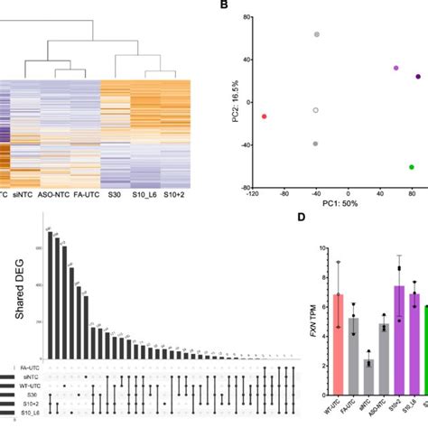 Distinct Transcriptome Profile Induced By S10 And S30 Derived Asos A