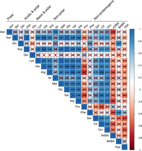 Correlation Heatmap For Amino Acids N 7 The Coloured And Labelled