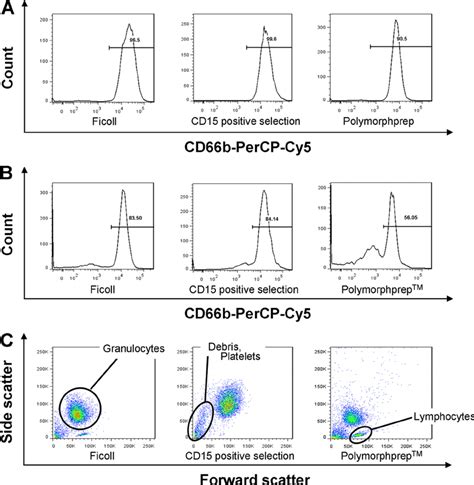 Purities Of Enriched Granulocytes A Representative Flow Cytometry