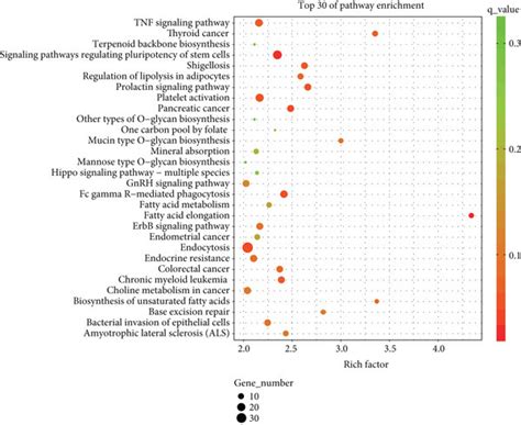Kegg Pathway Analyses Of Mir 22 3p And Mir 320a The Results Show The