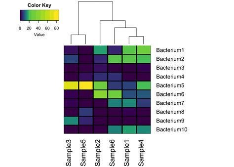 how to make heatmaps in r with pheatmap data viz with python and r