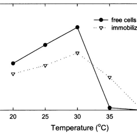 Relationship Between Initial Phenol Concentration And Specific Growth
