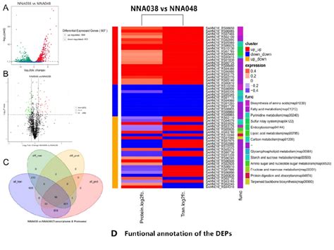 Differential Expression Genes And Proteins Analysis A Download