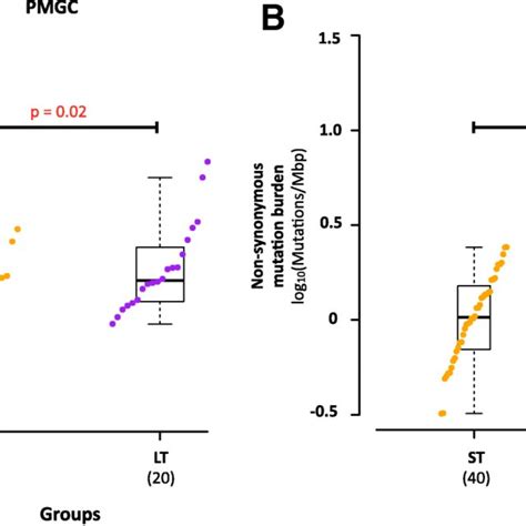 Somatic Mutation Burden Of High Grade Serous Ovarian Cancer Exceptional
