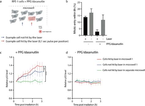 Spatiotemporal Control Of Ppg Idasanutlin A Schematic Representation