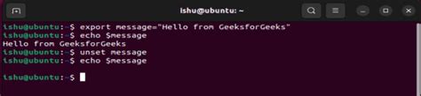 how to defining a bash variable with or without export in linux