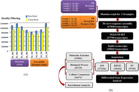 Summary Of Transcriptome Data And Analysis Approach Followed To Dissect