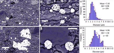 Morphology And Distribution Of Pyrites In The Host Shale Download