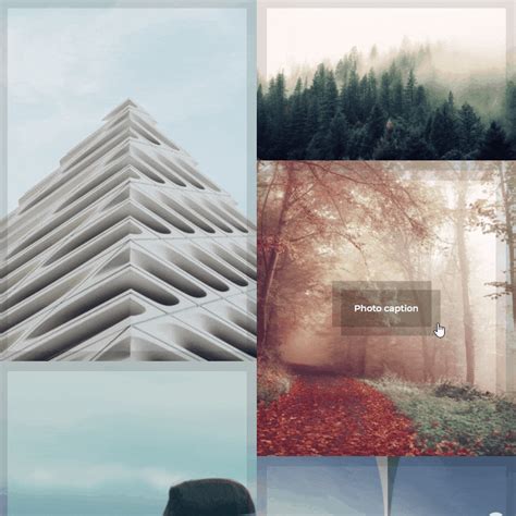 magnific responsive gallery coding code css css3 gallery hover html