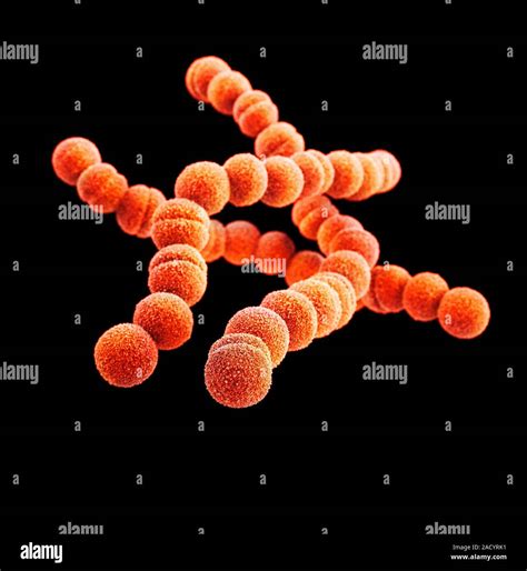 Les Bactéries Streptococcus Pyogenes Ordinateur 3d Illustration De