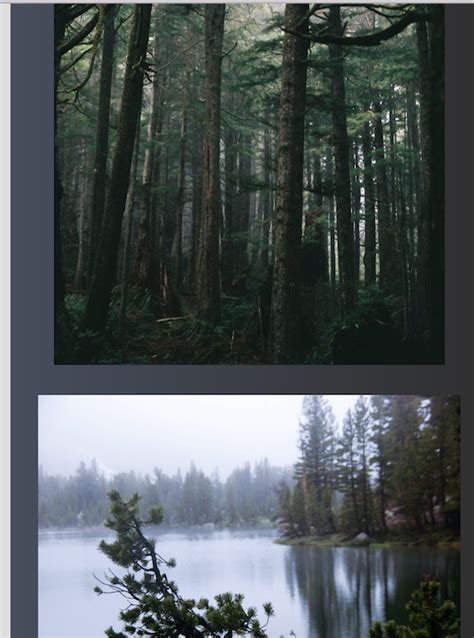 html bootstrap is it possible to resize an image based