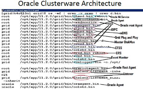 background processes in oracle rac oracle help