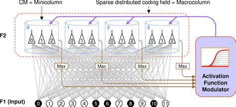 Frontiers A Cortical Sparse Distributed Coding Model Linking Mini