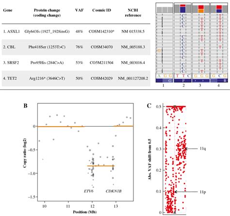 Relevant Genetic Aberrations Detected By Ngs In Patients Sample A