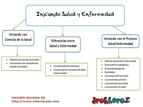 Noveno Pino Primero Mapa Conceptual Sobre La Salud Alimentar Cuerpo La