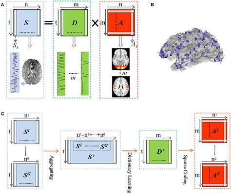 Frontiers A Dictionary Learning Approach For Signal Sampling In Task
