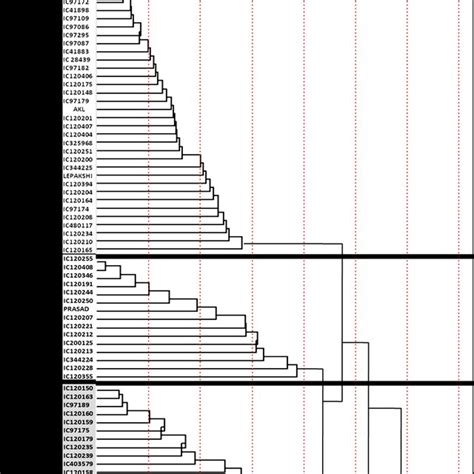 Wards Minimum Variance Dendrogram Download Scientific Diagram