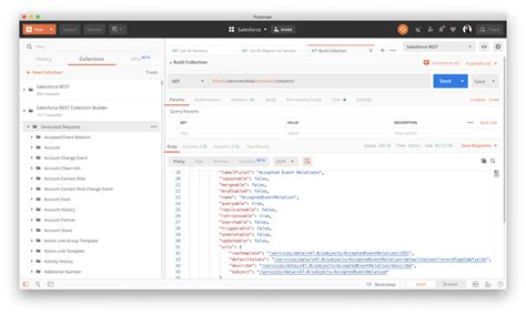 a dynamic salesforce rest api postman collection builder collection