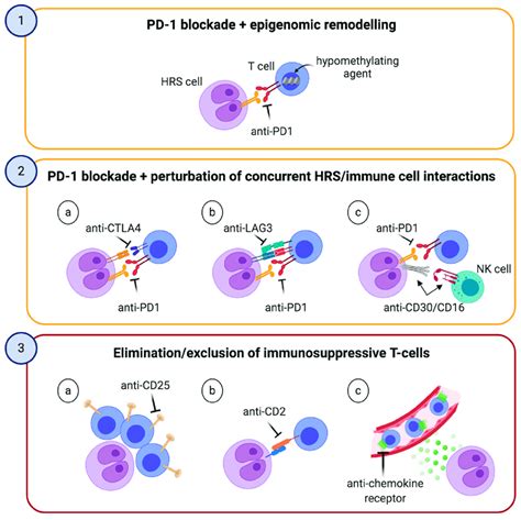 Three Microenvironment Based Strategies To Improve Pd 1 Blockade Or As