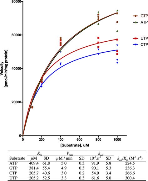 Michaelis Menten Plots For Phahv1 Ntpdase Activity With Gtp Atp Utp