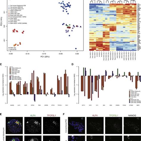 Comparative Expression Analysis Download Scientific Diagram