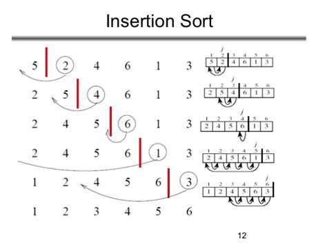 sharecod contoh program selection sort insertion sort bubble sort