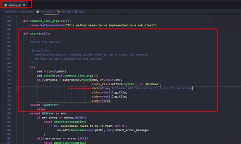 how to run a python script using selenium chromedriver in background
