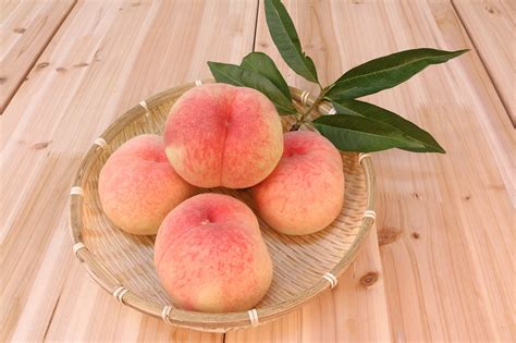 Más De 70 000 Imágenes Gratis De Durazno Dibujado Y Durazno Pixabay
