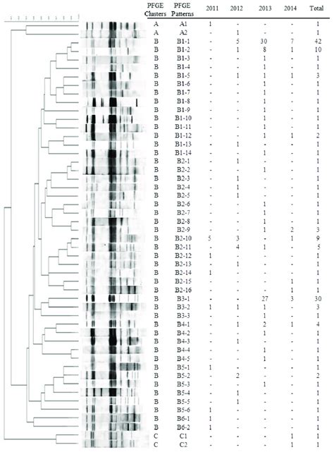 Dendrogram Of Patterns Generated By Pulsed Field Gel Electrophoresis
