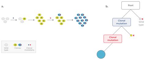 Clonal Evolution In Cancer Learning Center Mission Bio